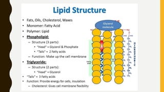 Chemical and Physical properties of Oil and Fat (Unit 2) | PPTX