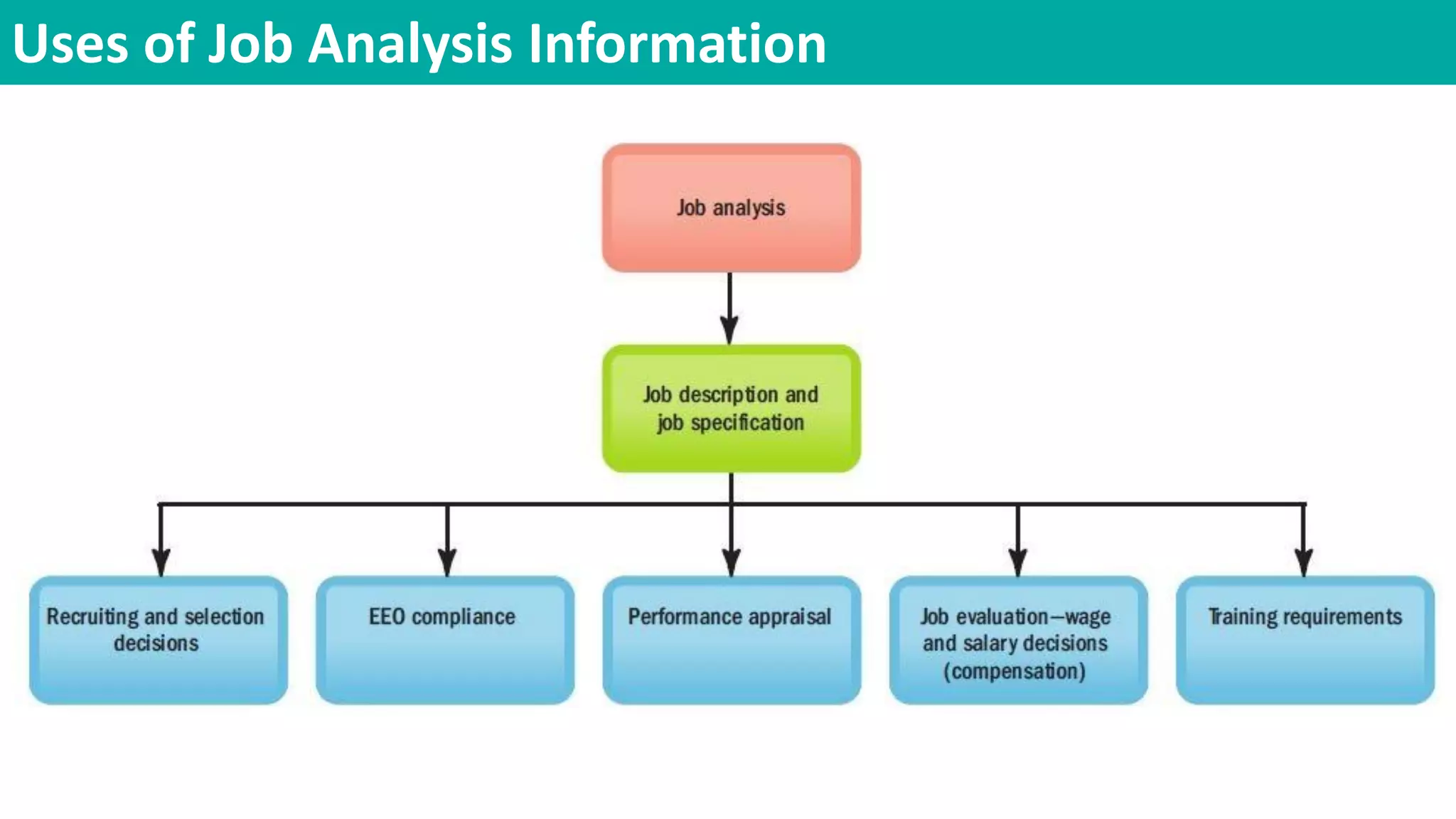 Job Analysis and Recruitment and Selection | PDF