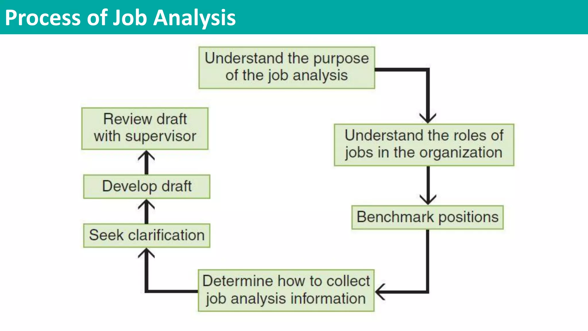 Job Analysis and Recruitment and Selection | PDF