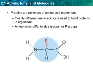 Unit 2 The Chemistry Of Life | PPT