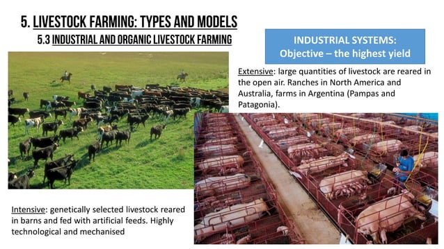 Unit 2 - The Primary Sector (ppt) | PDF | Agriculture | Industries