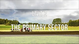 Unit 2 - The Primary Sector (ppt) | PPT