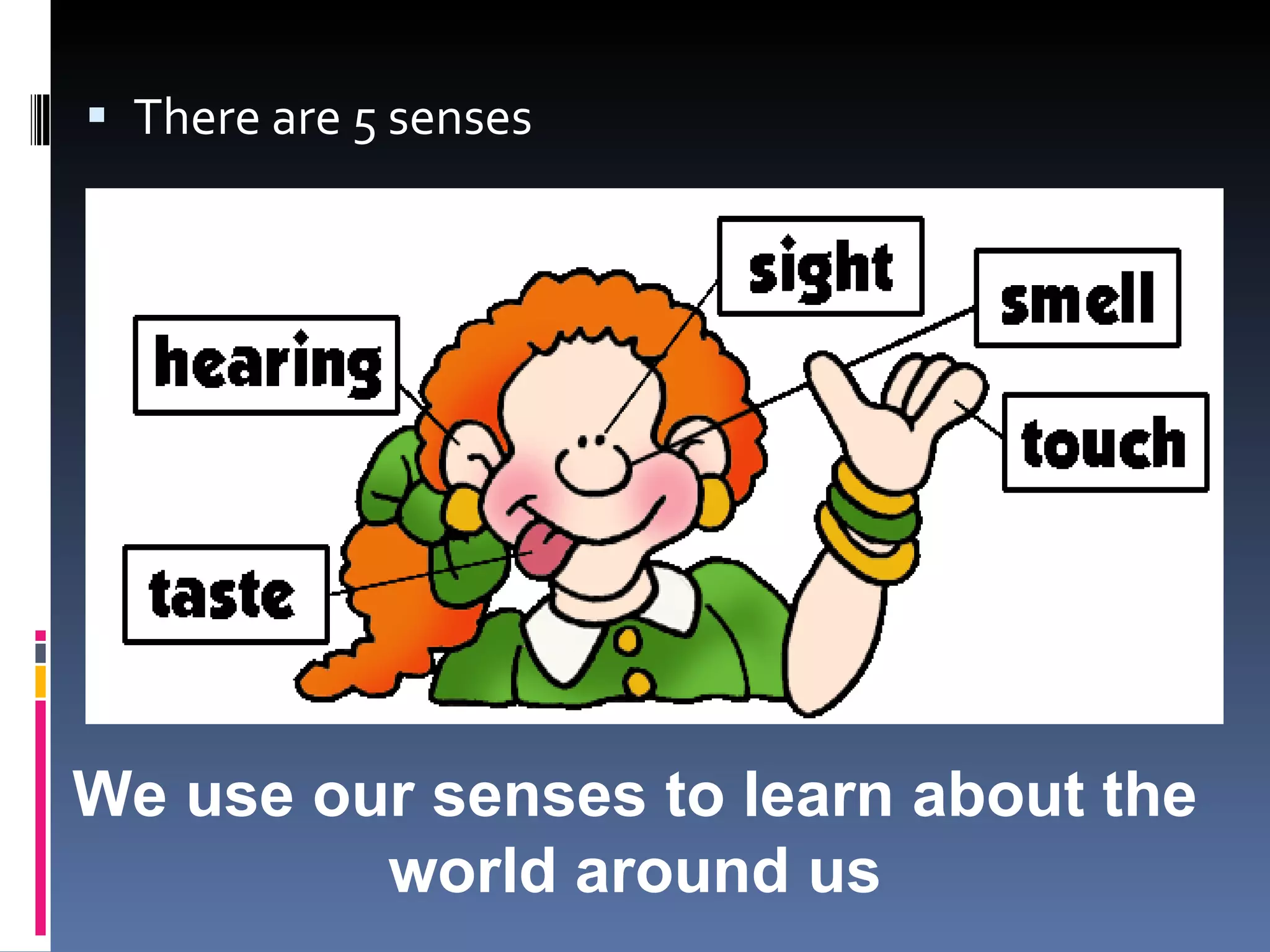 The Senses | PPT