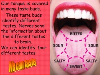 Unit 2.the senses. | PPT