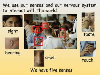 Unit 2.the senses. | PPT