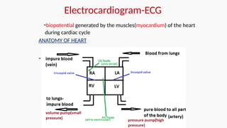 BIOPOTENTIAL MEASUREMENT-ECG, EEG, EMG, PCG | PPTX