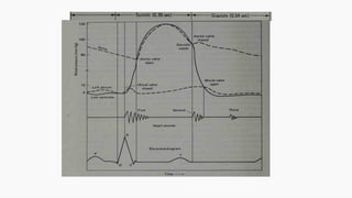 BIOPOTENTIAL MEASUREMENT-ECG, EEG, EMG, PCG | PPTX