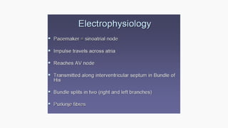 BIOPOTENTIAL MEASUREMENT-ECG, EEG, EMG, PCG | PPTX