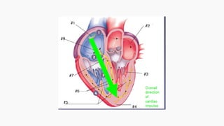 BIOPOTENTIAL MEASUREMENT-ECG, EEG, EMG, PCG | PPTX