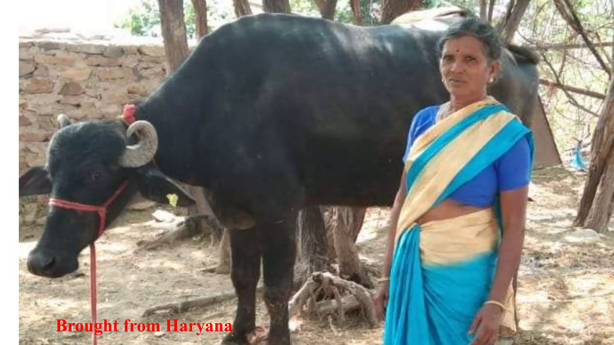 Unit 20 General principles of computation of ration.pptx