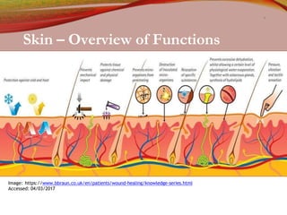 unit 17. Lesson 2, Disorder of Skin and skin care | PPT