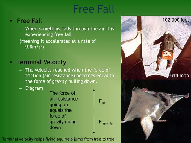 Unit 22 - Projectile Motion, Weight, And Mass | PPTX