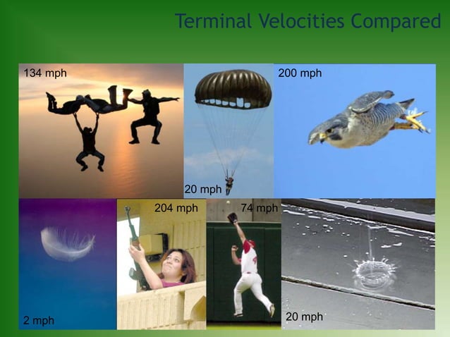 Unit 22 - Projectile Motion, Weight, And Mass | PPTX