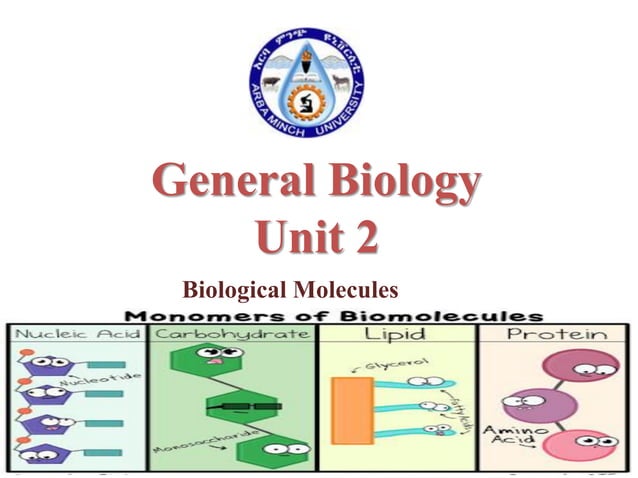 Unit 2 Biological Molecule | PDF | Biological Sciences | Science