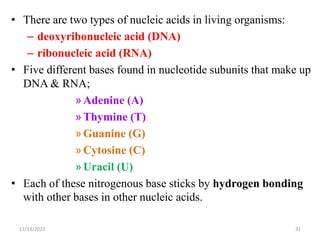 Unit 2 Biological Molecule | PDF