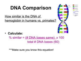 Unit2 4 scientists | PPT