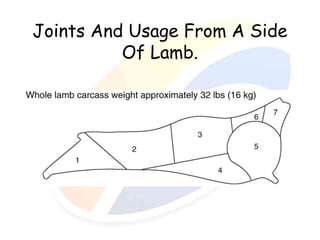 Unit_251_Lamb[1].ppt