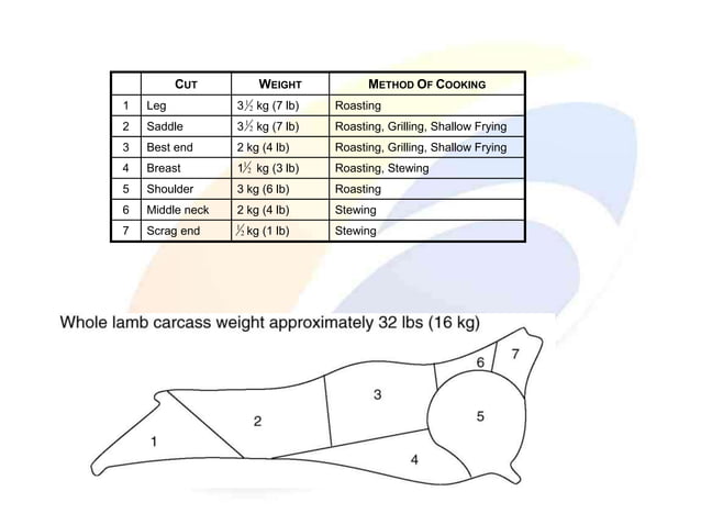 Unit_251_Lamb[1].ppt