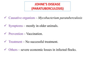 Unit 26a Diseases of sheep and goat.pptx