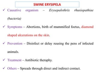 Unit 26b Diseases of Swine.pptx