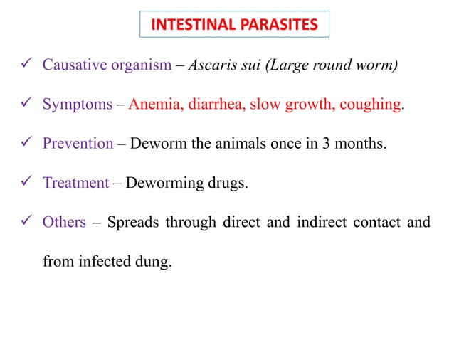 Unit 26b Diseases of Swine.pptx | Infectious Diseases | Diseases and ...