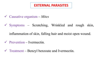Unit 26b Diseases of Swine.pptx