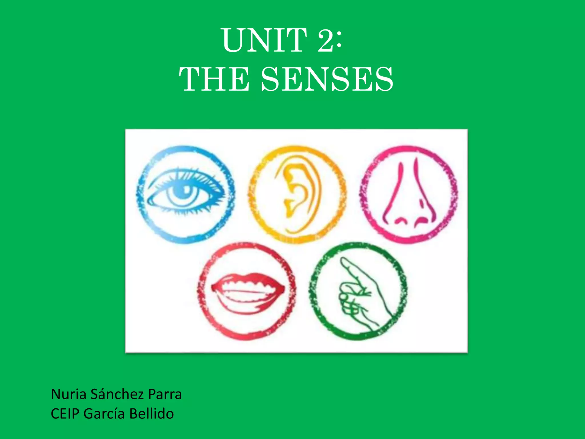 Unit 2 6th: The senses | PPT
