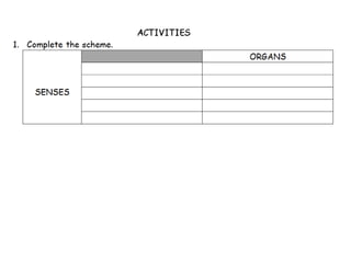 Unit 2 6th: The senses | PPT