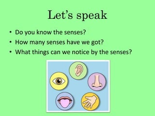 Unit 2 6th: The senses | PPT