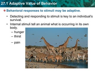 Unit 27 Behavioral Biology | PPT