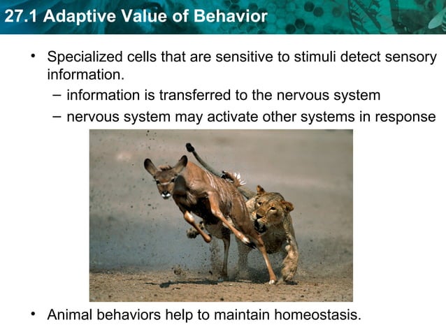 Unit 27 Behavioral Biology | PPT