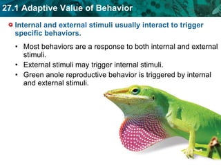 Unit 27 Behavioral Biology | PPT