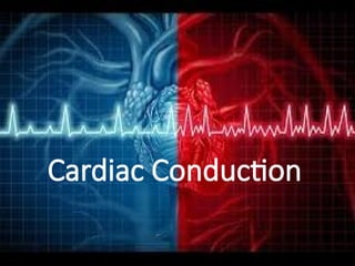 Cardiac Conduction and basic rhythm understanding | PPTX