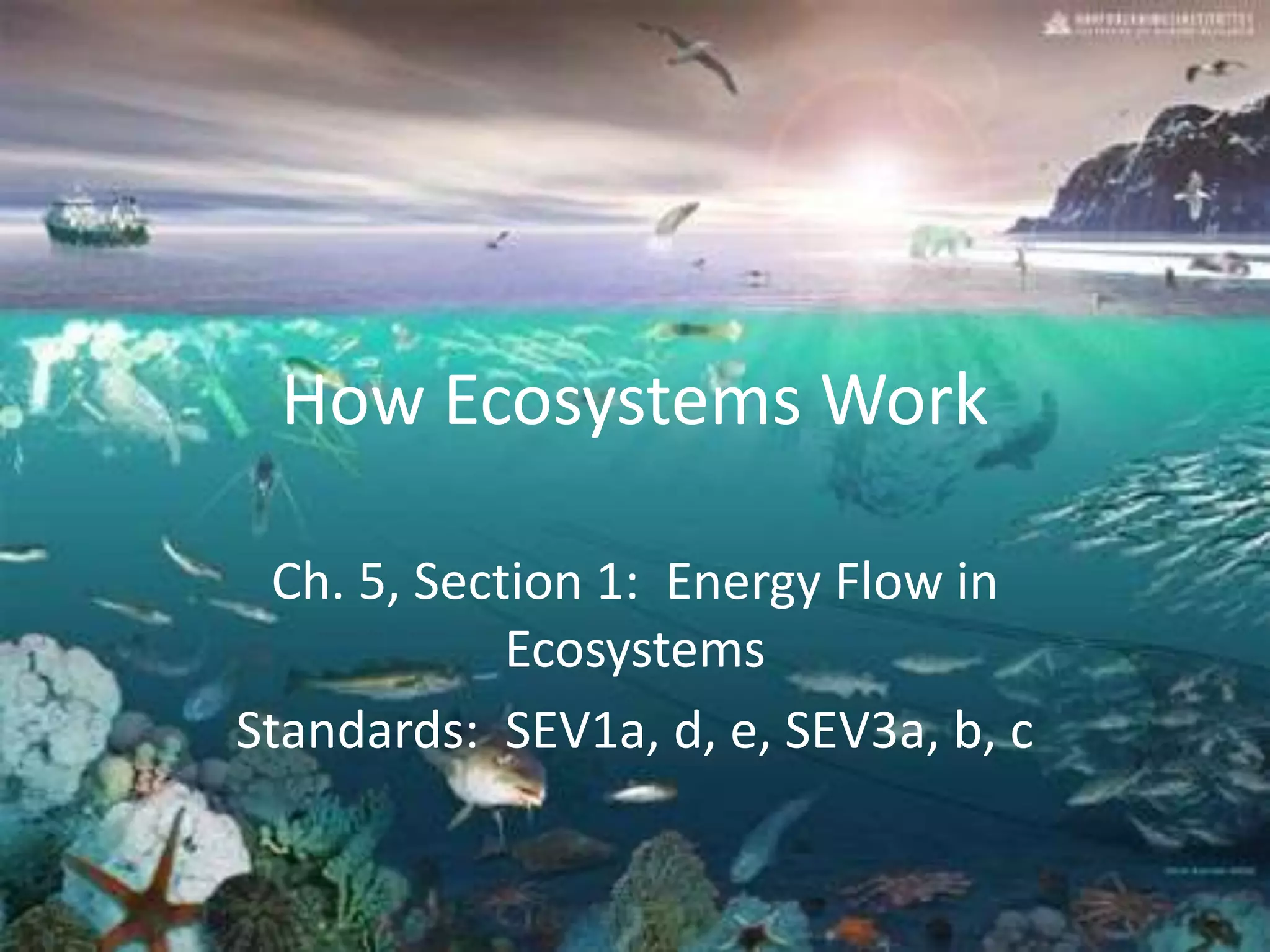 Unit 2 a ch 5 s1 energy flow in ecosystems | PPT