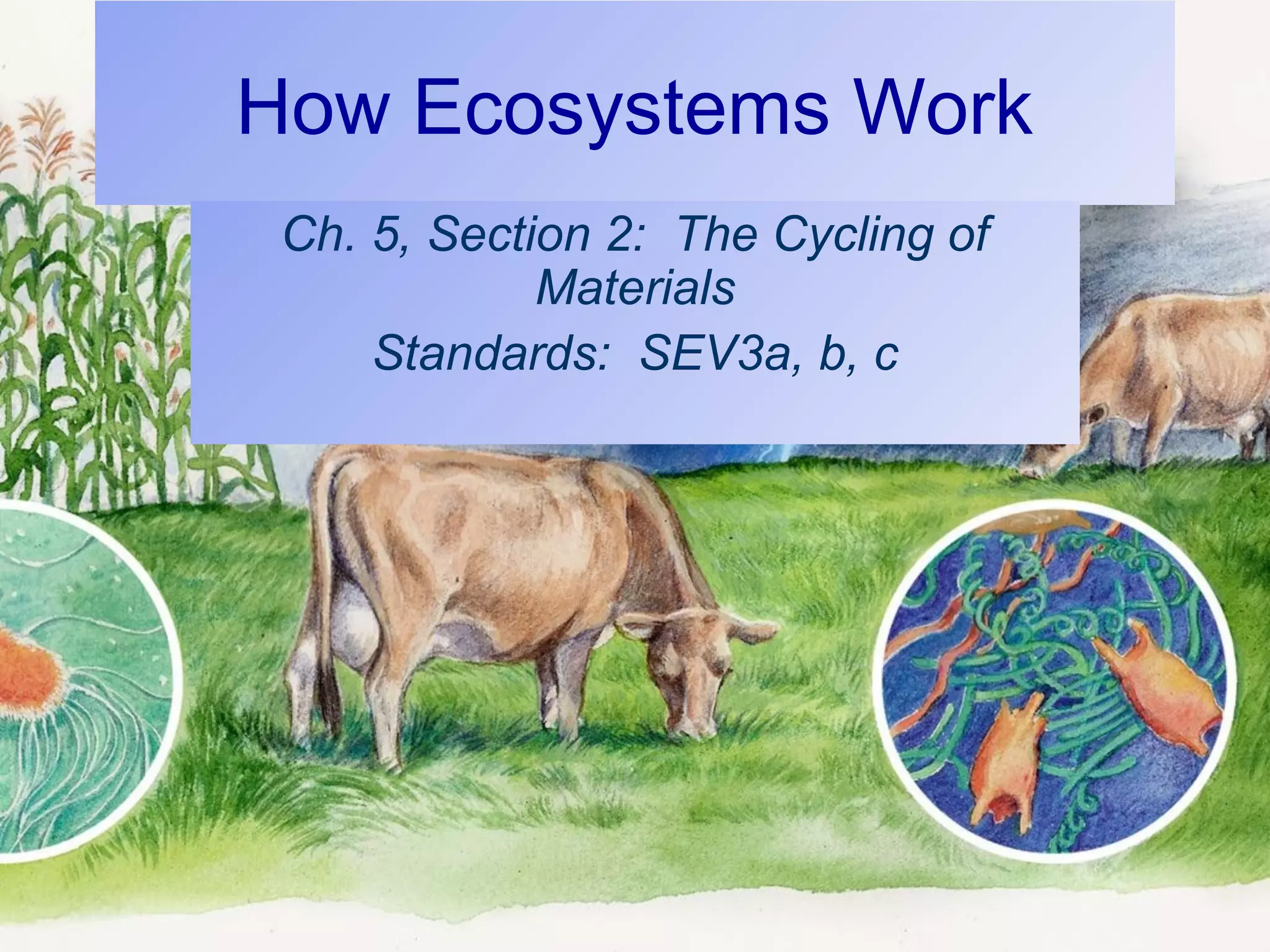 Unit 2 a ch 5 s2 the cycling of materials | PPT | Chemistry | Science
