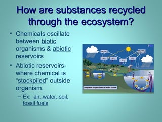 Unit 2 a ch 5 s2 the cycling of materials | PPT