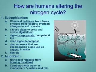Unit 2 a ch 5 s2 the cycling of materials | PPT | Chemistry | Science