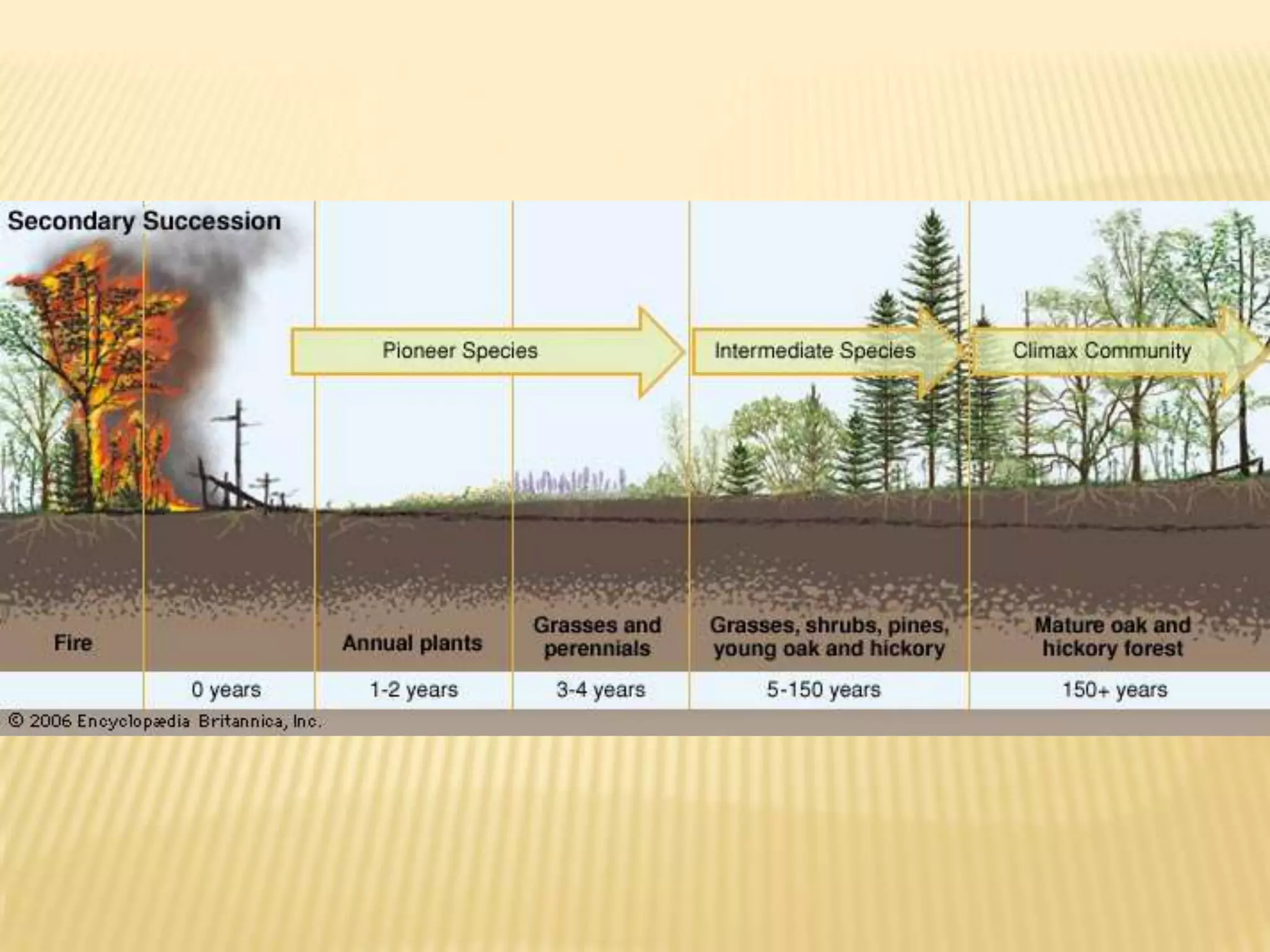 Unit 2 a ch 5 s3 how ecosystems change | PPTX