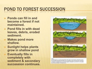 Unit 2 a ch 5 s3 how ecosystems change | PPTX