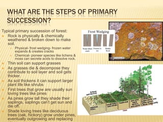 Unit 2 a ch 5 s3 how ecosystems change | PPTX