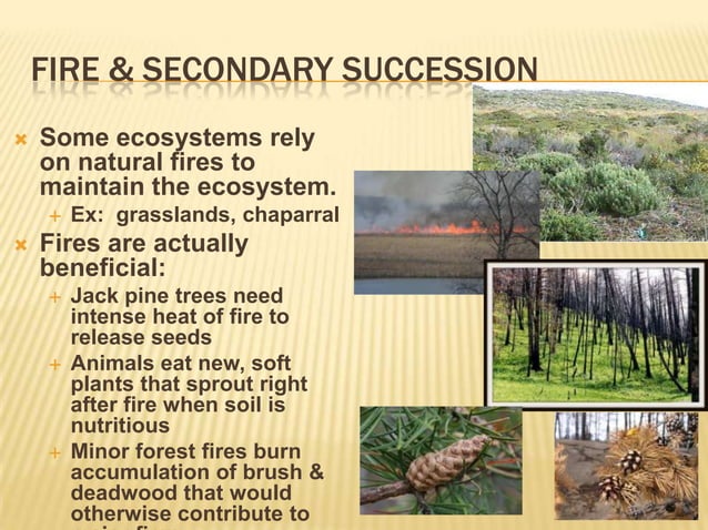 Unit 2 a ch 5 s3 how ecosystems change | PPT
