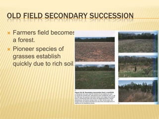 Unit 2 a ch 5 s3 how ecosystems change | PPTX