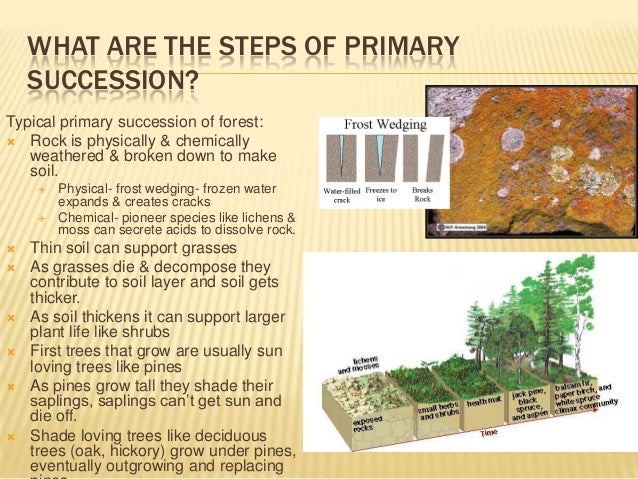Unit 2 a ch 5 s3 how ecosystems change
