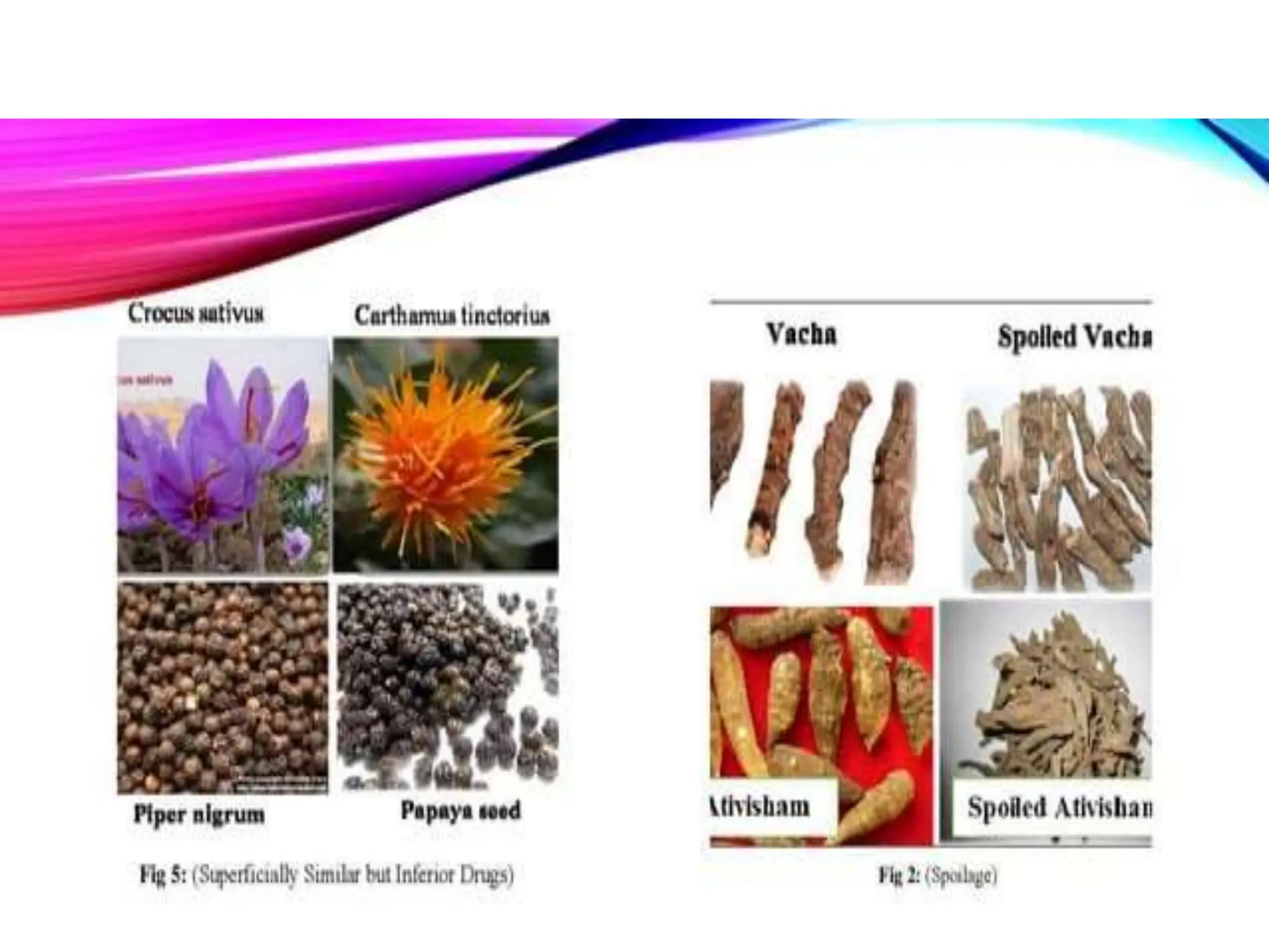Arshu Patel/UNIT 2 Adulteration and Deterioration.pptx