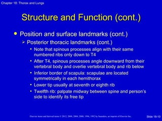 Unit 2 app thorax and lungs | PPT