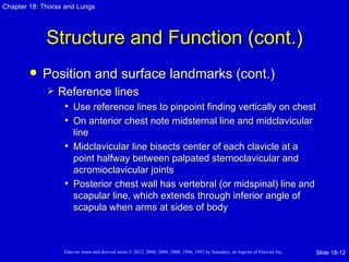 Unit 2 app thorax and lungs | PPT