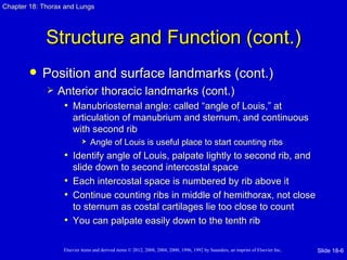 Unit 2 app thorax and lungs | PPT