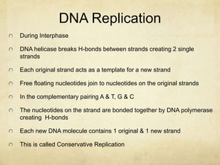 AQA Unit 2 AS Biology | PPTX