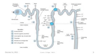 Diuretics | PPT