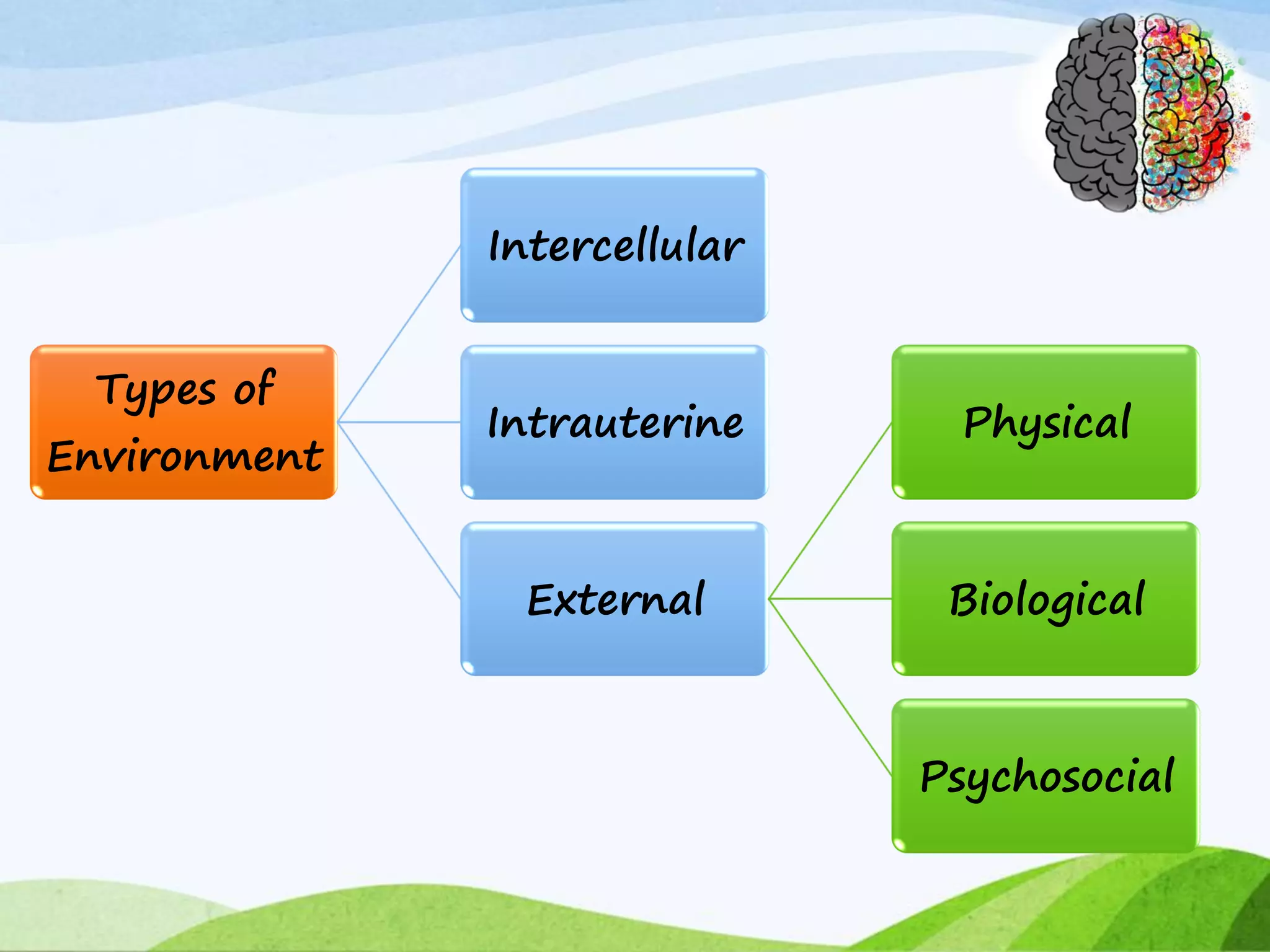 Unit 2 biology of behaviour | PDF